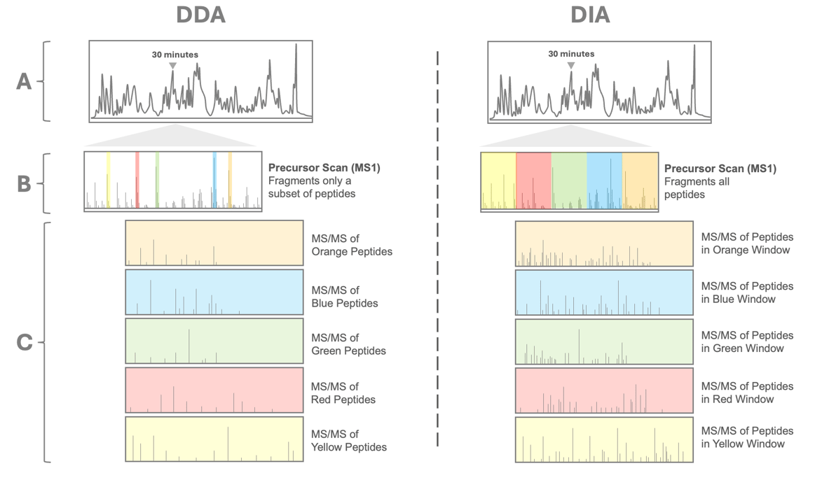 What's the difference between DIA & DDA proteomics?